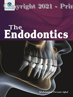 9789696372752 - the endodontics, 1e